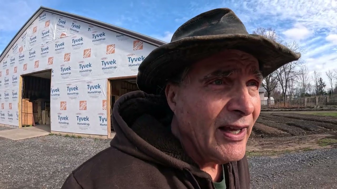 MiniMe Back to Work: Pruning, Cleanup & Clearing the Way