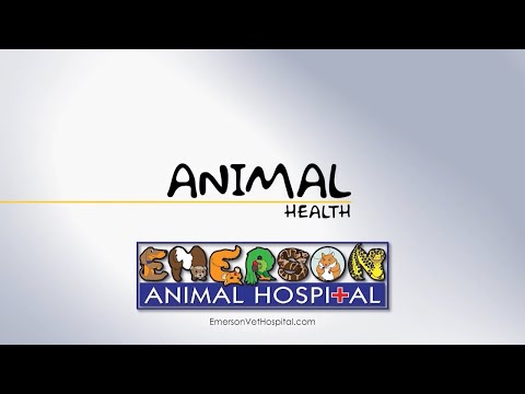 Animal Health - 06/12/25