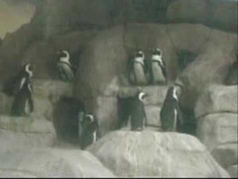 Zoo Trip