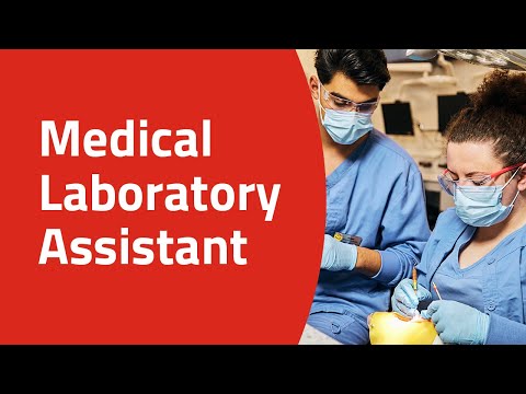 Medical Laboratory Assistant