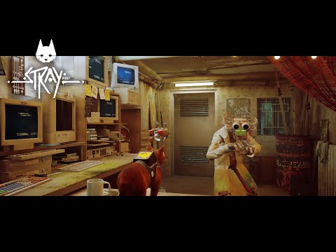 Steam Community :: Stray