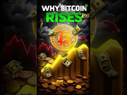 Why Bitcoin Buys Strength When Everything Else Falls ✨💪