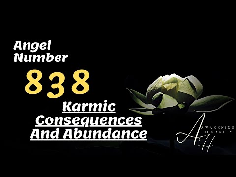 Angel Number 838 – Karmic Consequences And Abundance