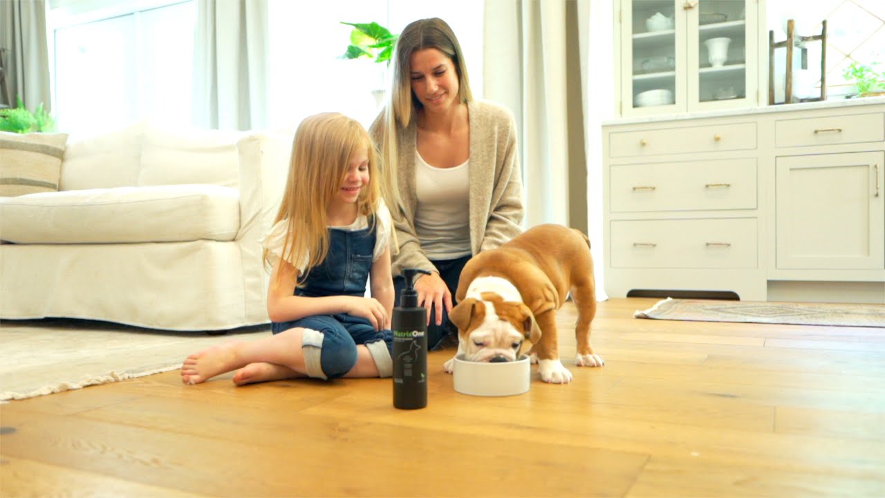 NatrixOne Plant-Based Dog Supplement for Anti-Aging Canine Health Benefits