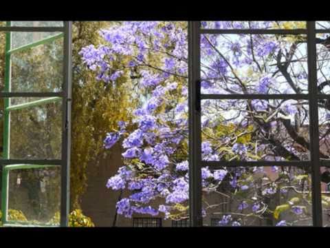 “Gardens: An Essay” by Robert Pogue Harrison (reposted from 10/7/11 ...