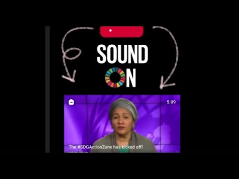 SDG Action Zone 2020 Highlights
