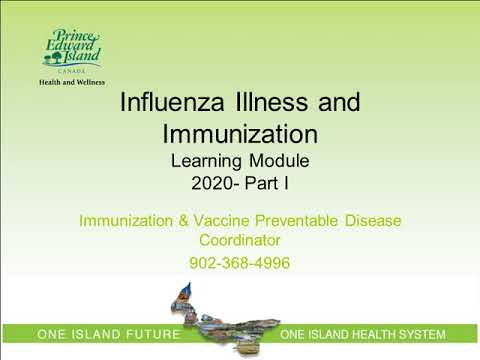 Influenza Illness and Immunization 2020