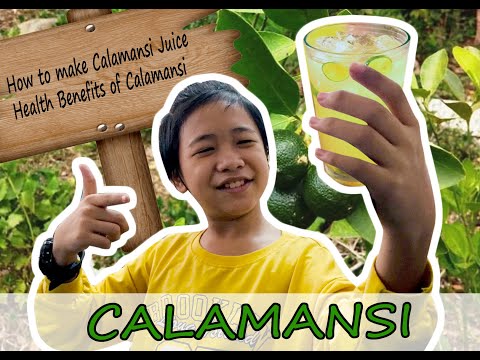 Health Benefits of Calamansi, Slops of Fish/ Rice as Fertilizer, How to make a Calamansi Juice