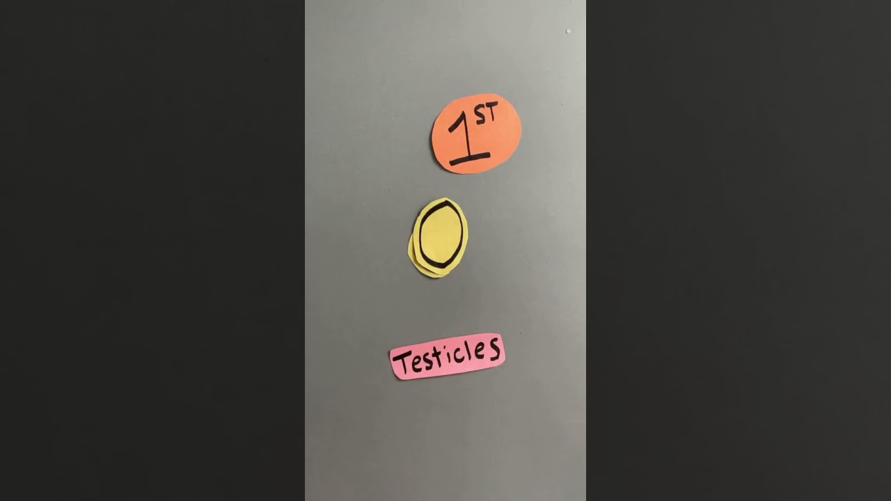 What changes happen during puberty? (Boys Edition) #shorts #education