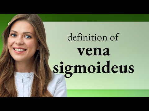 Vena sigmoideus — VENA SIGMOIDEUS meaning