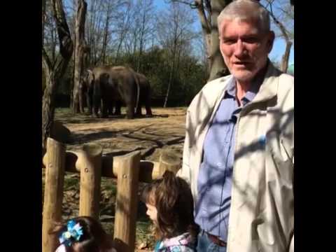 At the Zoo Explaining Behemoth