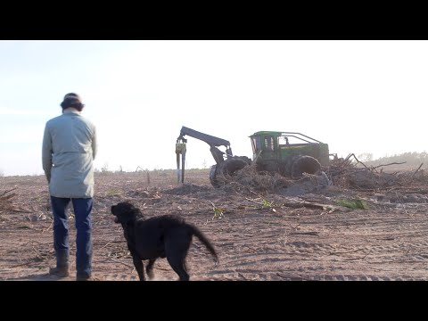Pierce Timber Company | John Deere Forestry