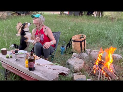 Campfire dinner with my cats & dogs- Full moon ZOO