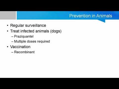 Echinococcosis: Preventive Measures and Eradication Success