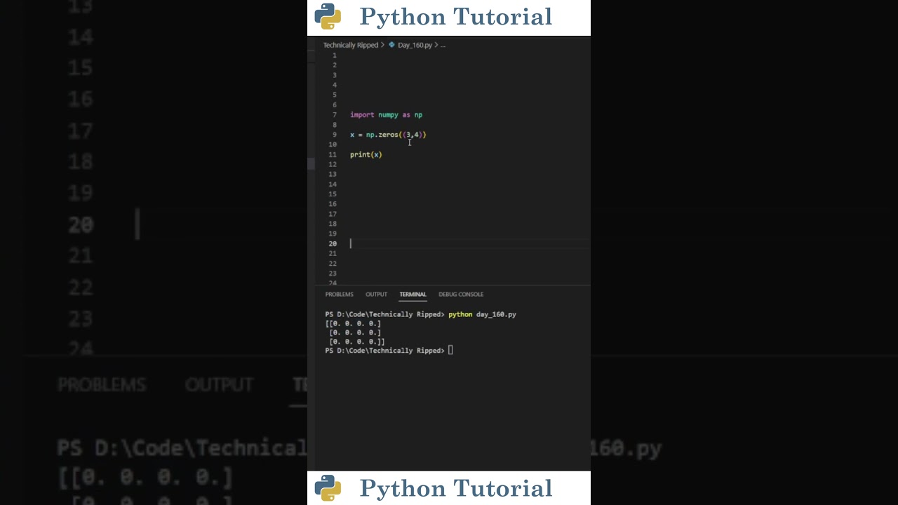 Numpy Zeros/Ones Arrays | Python Tutorial