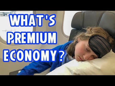 Premium Economy Review! American Airlines for Japan Trip Home