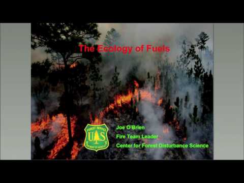 SFE Webinar: The Ecology of Fuels