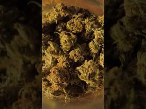 Votes for Arkansas medical marijuana expansion won’t count