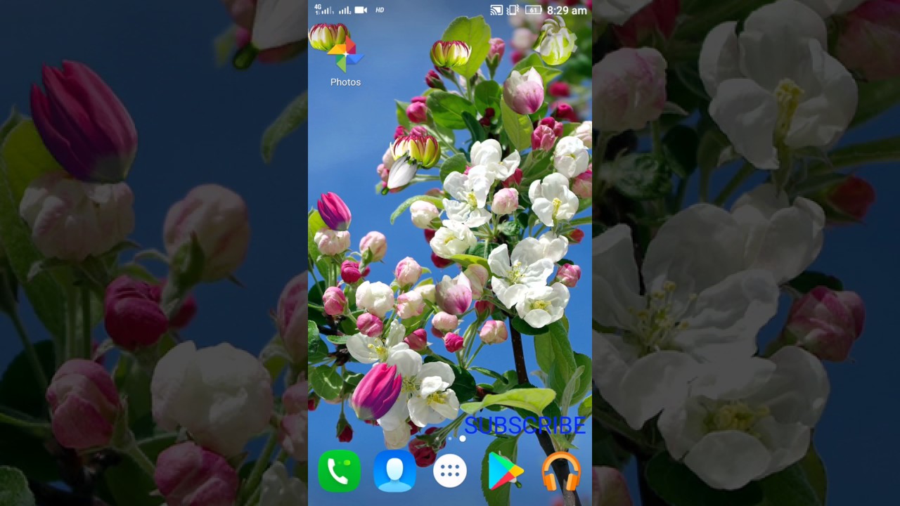 Real Nature Live wallpaper apk