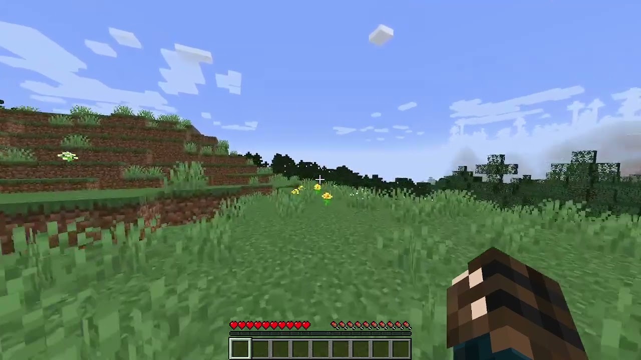 How To Toggle Sprint in Minecraft