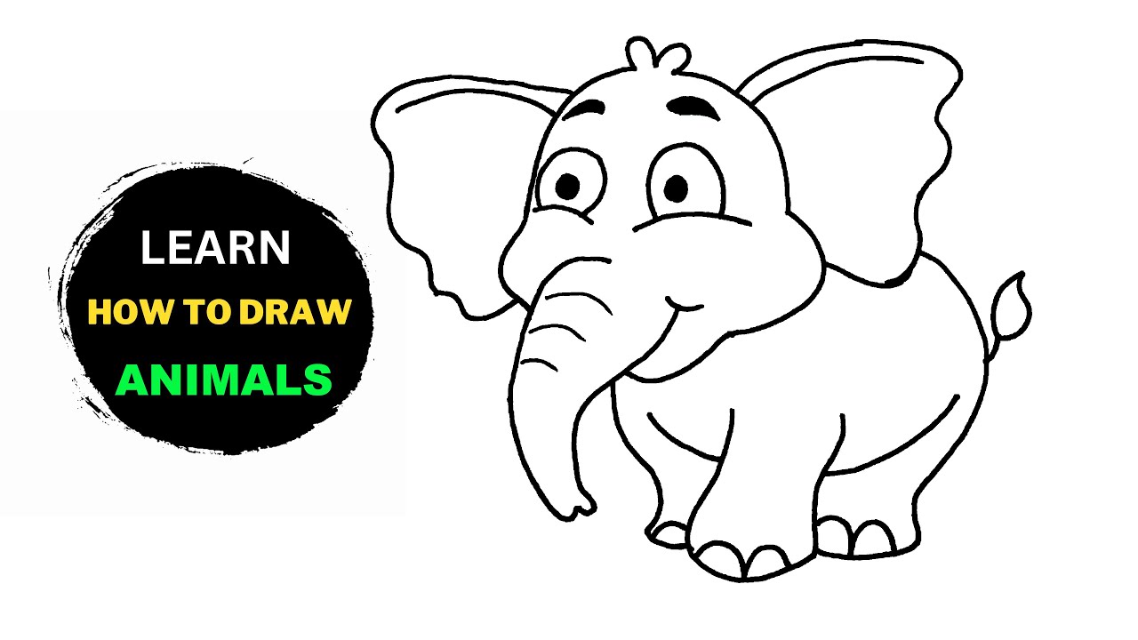 Wild Animals Coloring Pages | How To Draw Animals Easy Step By Step For Beginners