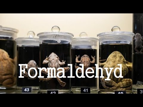 The Formaldehyde Information, history : Disinfectant,biocide,carcinogen