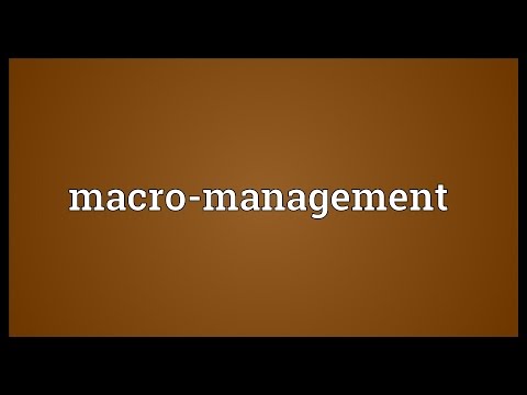 Macro-management Meaning