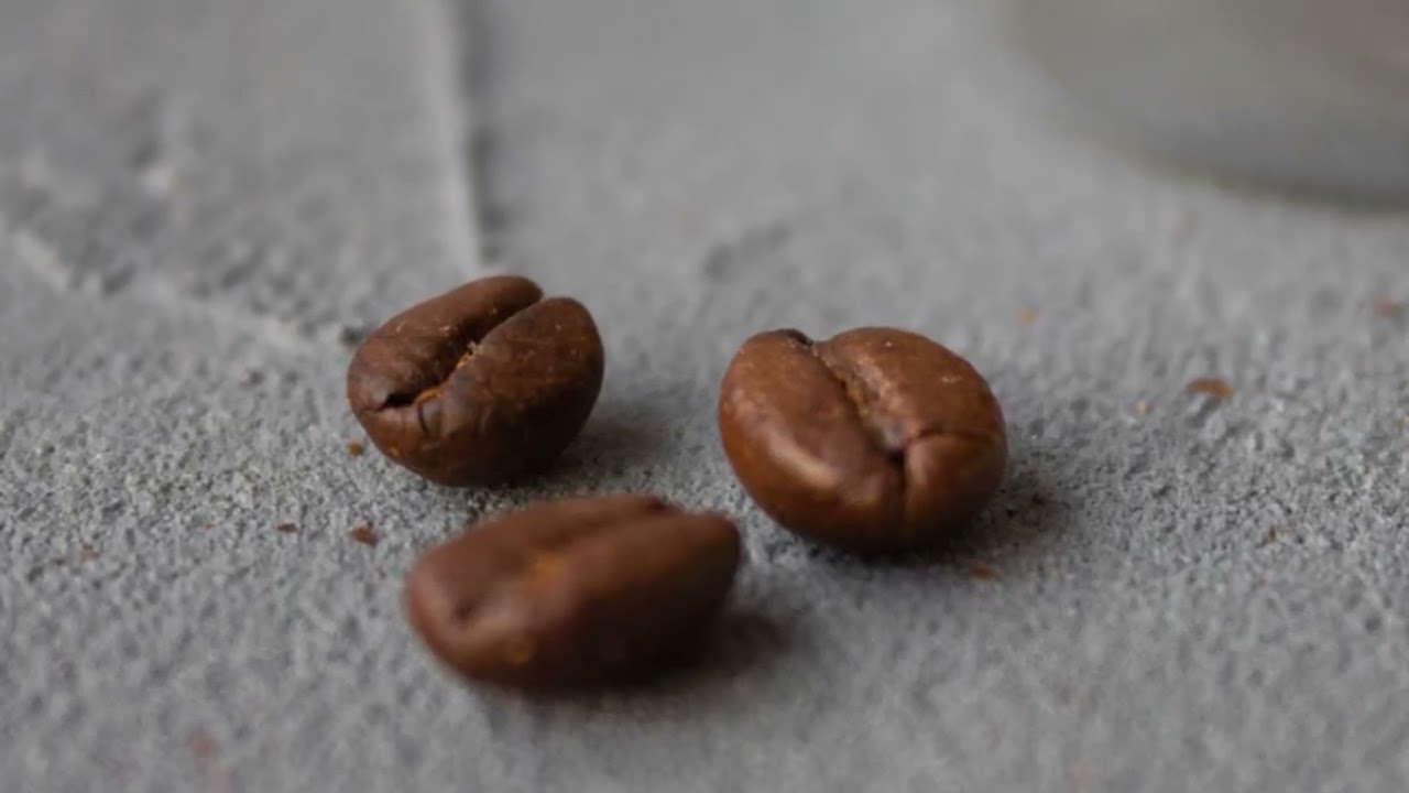 Arabica or Robusta  Sip This First! 2026