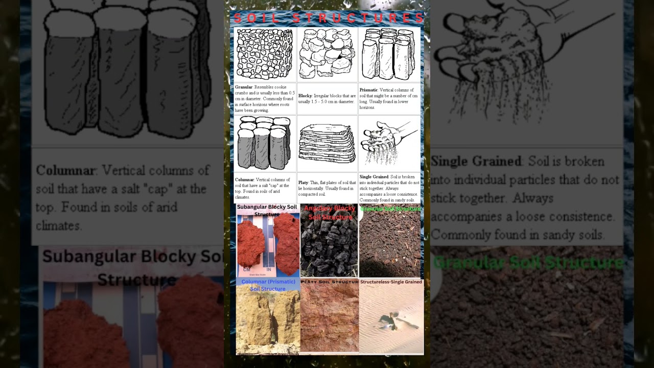 Soil Structures