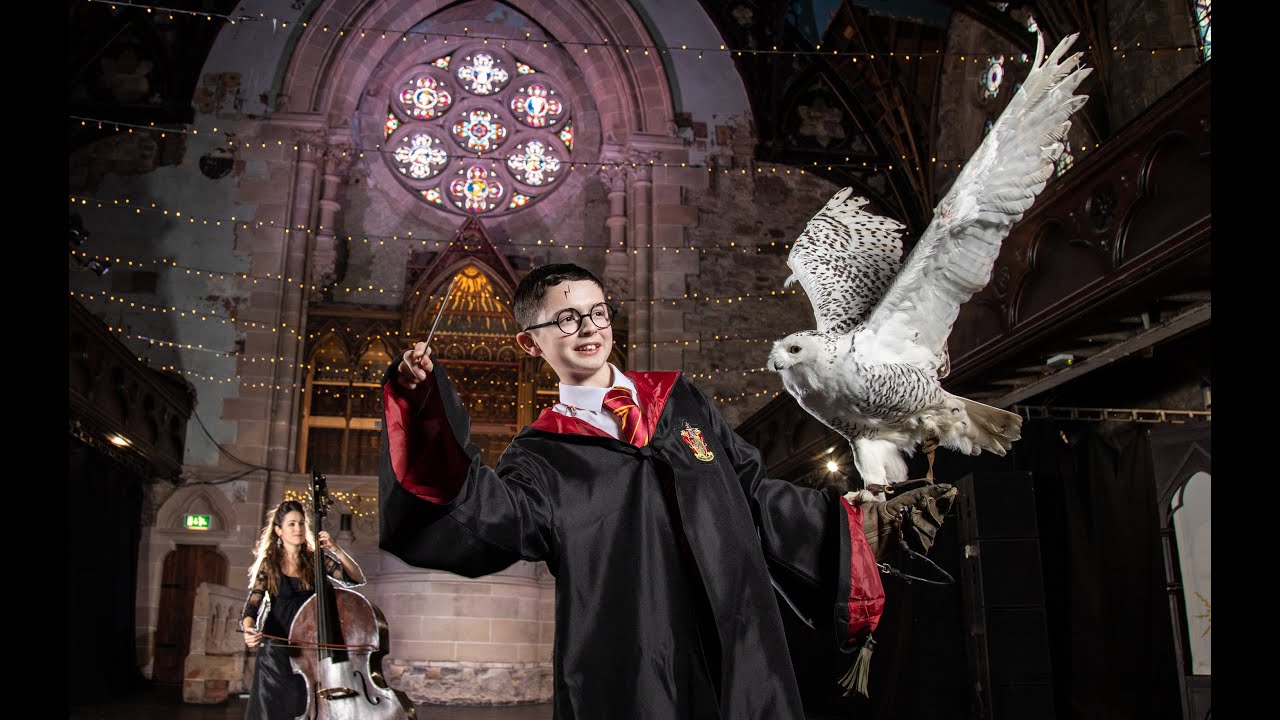 A Year in Pictures by Martin Shields Photography