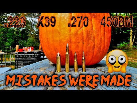 RIFLES vs PUMPKINS .223/5.56 7.62x39 .270 Win .450 Bushmaster