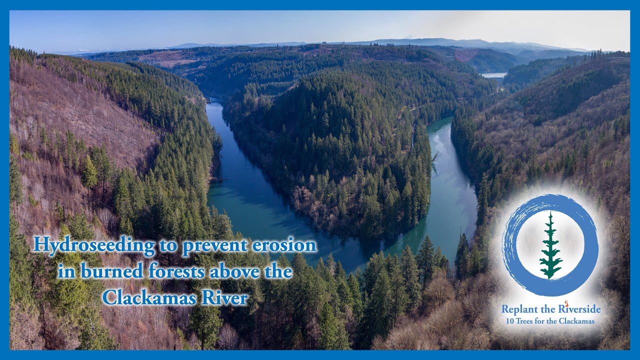 Hydroseeding to prevent erosion above the Clackamas River