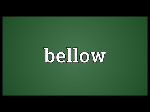Bellow Meaning