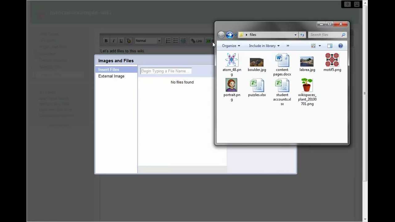 Adding Pictures and Files