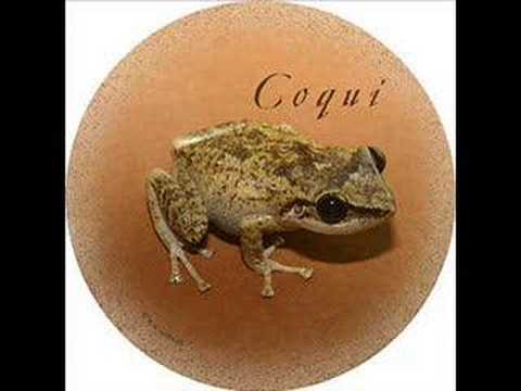 The Coqui war in hawaii