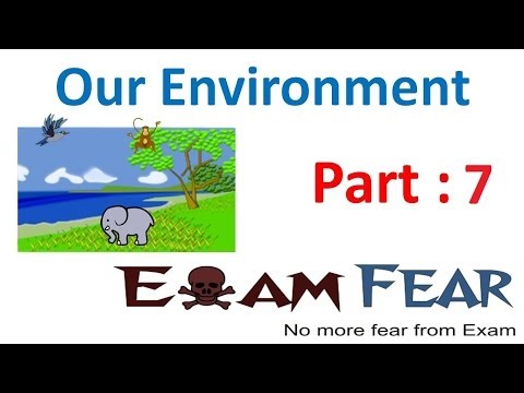 L7 : Biological Magnification - Our Environment, Science, Class 10 ...