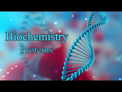 Introduction to Proteins | Standard and Non Standard Amino Acids