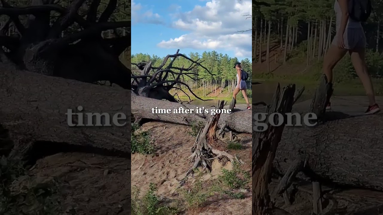 Who guesses this place will pin comment?Motivational Quote Inspirational Quote Motivational Video