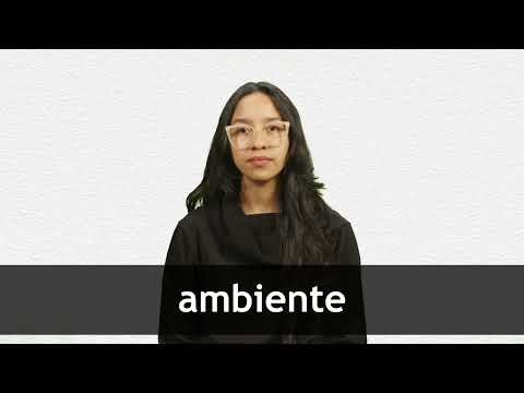 English Translation of “AMBIENTE” | Collins Spanish-English Dictionary