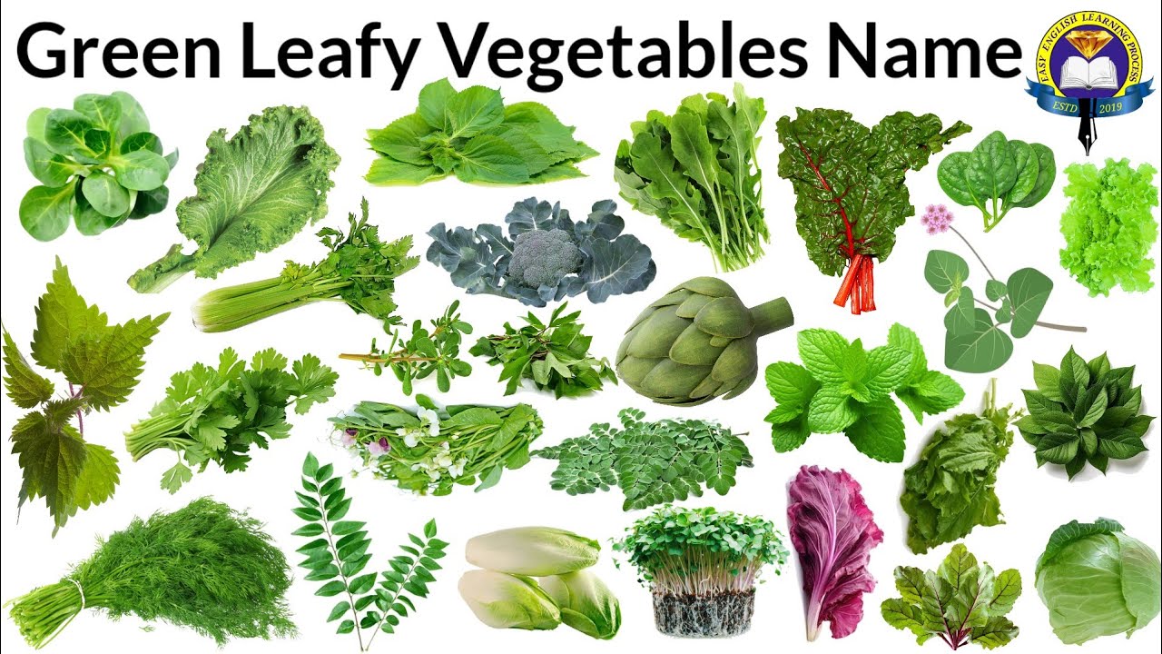 Green Leafy Vegetables Name In English With Pictures | Leafy | Green Leafy Vegetables | Leafy Names