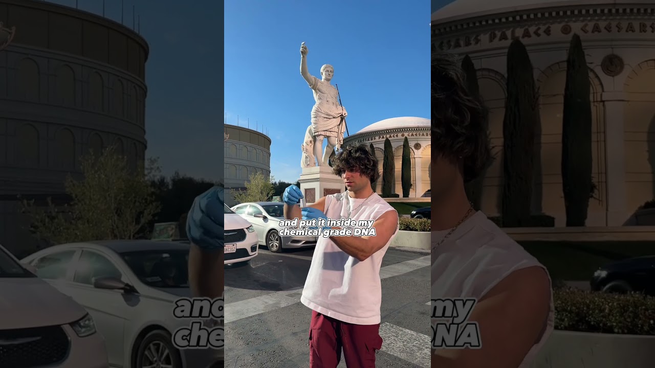 Cloning a Model in a DNA Laboratory 🧬