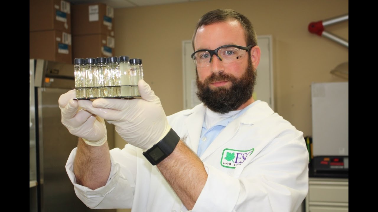 ESC Lab Sciences