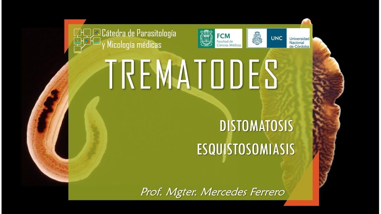 TREMADODOS