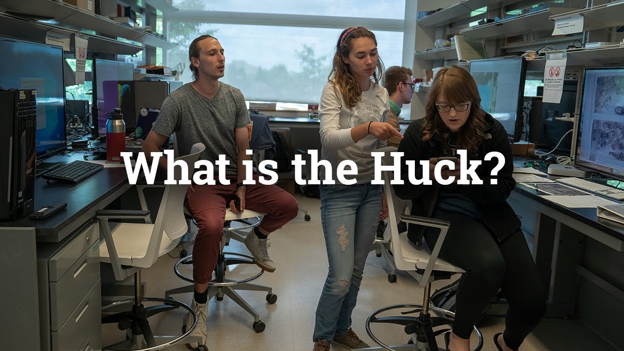 What is the Huck?