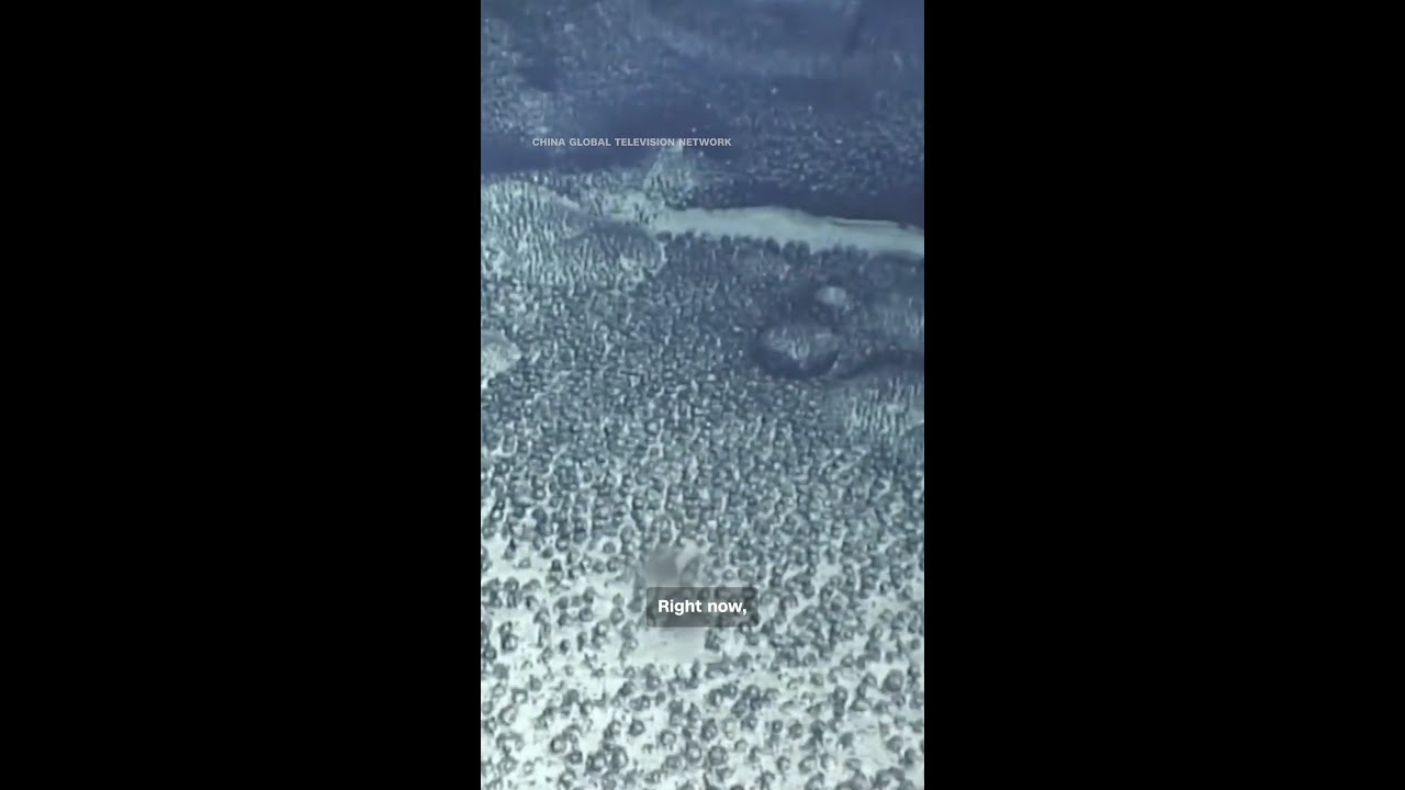 Why China and the US are racing to grab these ocean 'lumps'