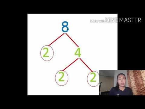 Prime Factorization-Factor Tree