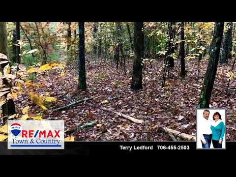Lots And Land for sale - 0 Camp Branch Rd 25, Ellijay, GA 30540