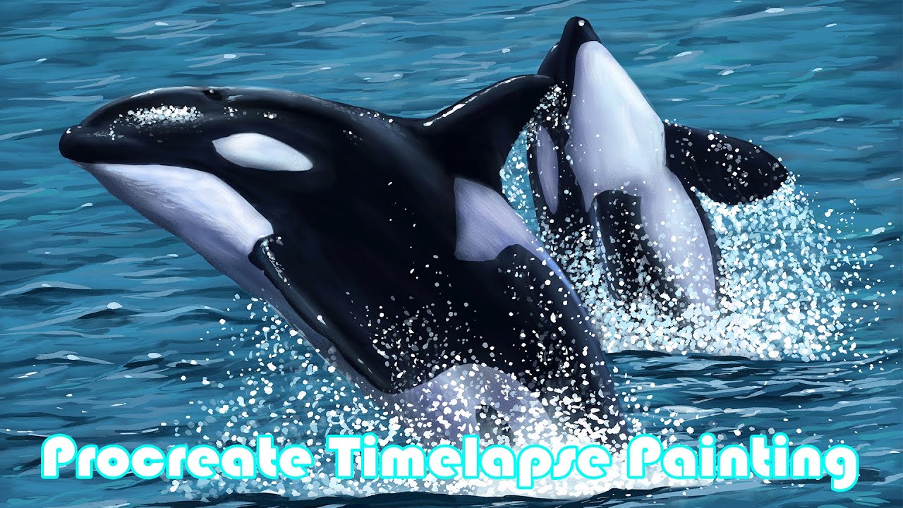 Procreate Timelapse Painting - Leaping Orcas