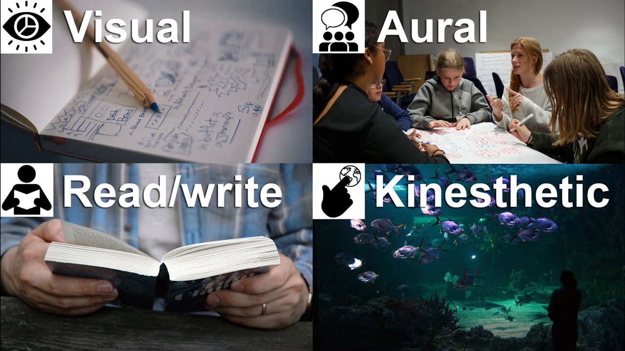 VARK Introduction