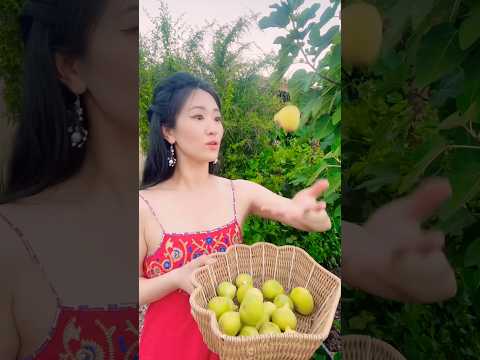 What's your favorite recipe with figs?#backyardfig #figs #fig #fruit#figfruit #无花果 #backyardlife